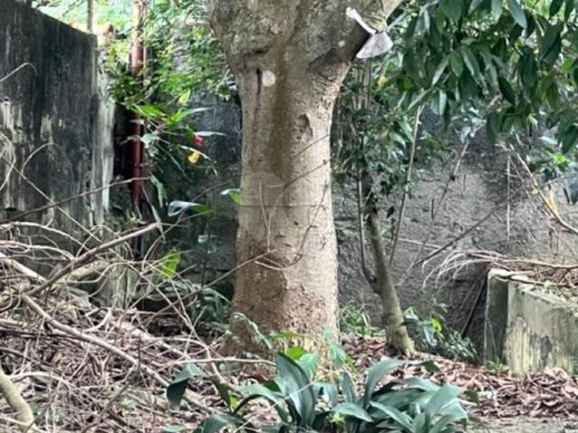 Terreno com 1 quartos à venda em Horto florestal SP
