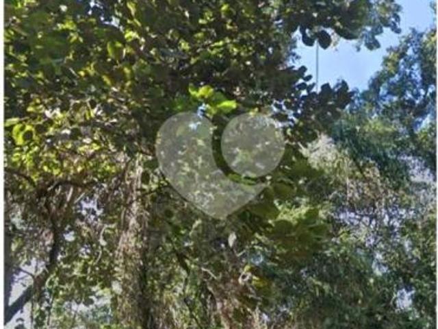 Terreno com 1 quartos à venda em Jardim virginia bianca SP
