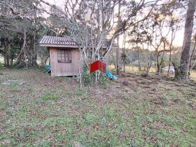 Terreno com 1.000m², à venda, no bairro Borda do Campo em São José dos Pinhais