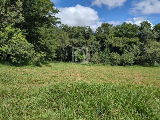 Terreno com 1.000m² à venda no Condomínio Residencial Valle dos Cervos 2 em Araçoiaba da Serra