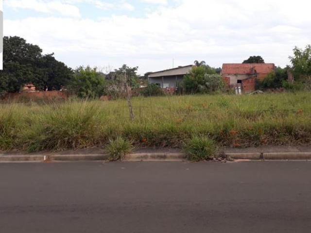 TERRENO COM 1.000M², NOVA SÃO PEDRO II, SÃO PEDRO