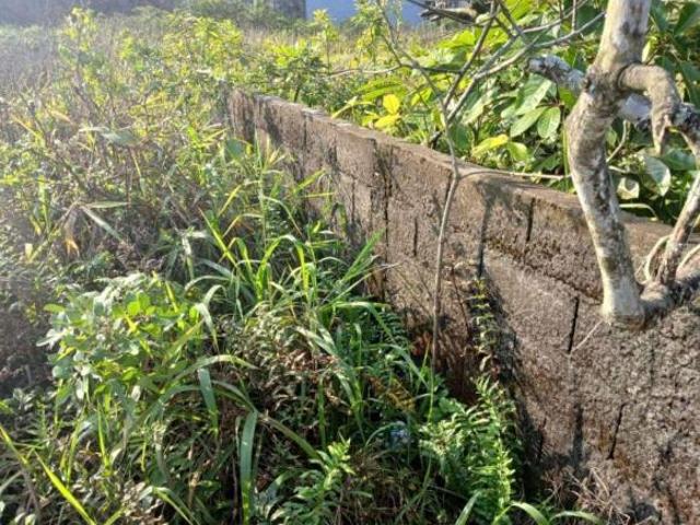 TERRENO COM 1.200m² DE FRENTE PARA O MAR EM ITANHAÉM