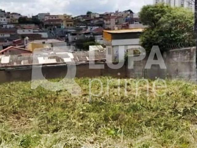TERRENO COM 1.305M² À VENDA NA VILA ISOLINA MAZZEI