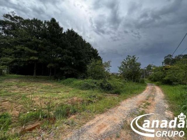 Terreno Com 1.420,00 M², Plano e Limpo, Em Cotia!