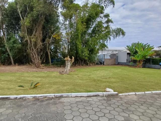 Terreno com 1.425m² à venda no Condomínio Gralha Azul Sambaqui, Florianópolis