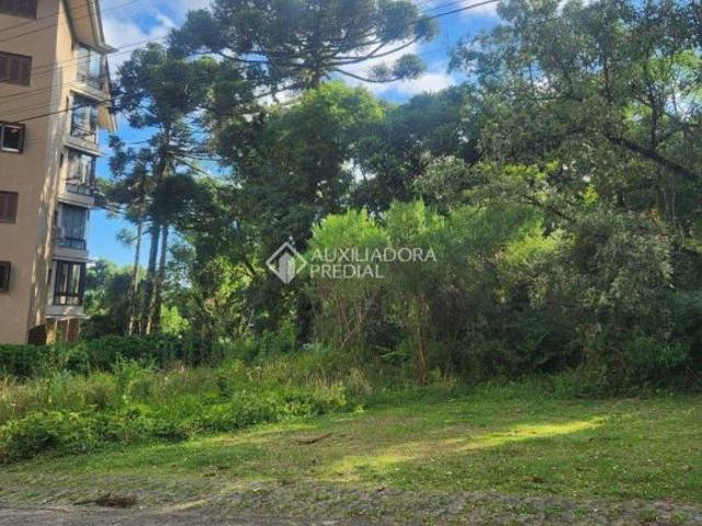 Terreno com 1.552,86 m² próximo ao Centro de Canela Quinta da Serra