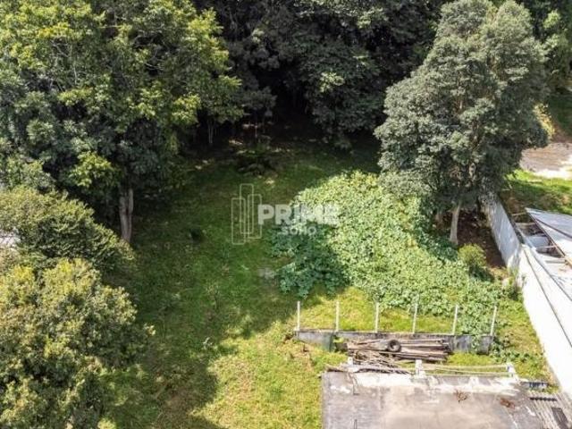Terreno com 1.658m² no Pilarzinho