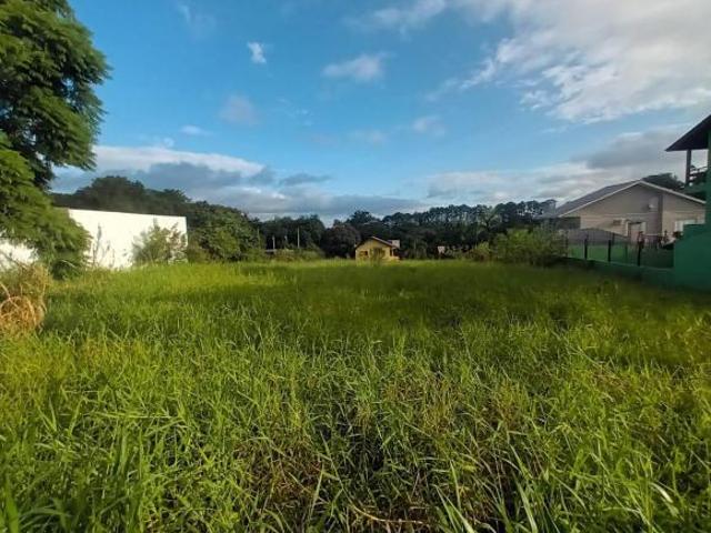Terreno com 1.620m² 27x60 no Centro de Viamão