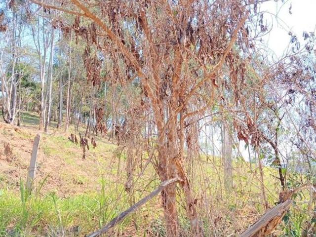 Terreno com 1.632,00 M2 à venda, Pedreira, Guaratinguetá, SP