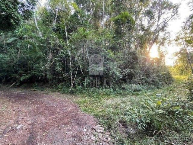 Terreno com 23.000 m², ideal para apicultura