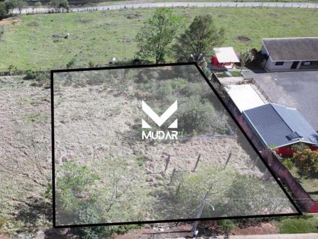 Terreno com 2000 metros na Colônia Dona Luiza