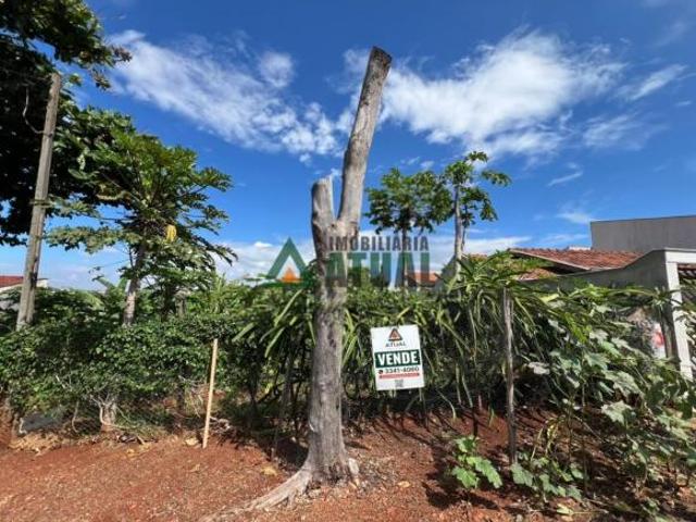 TERRENO COM 200M² A VENDA NA ZONA NORTE
