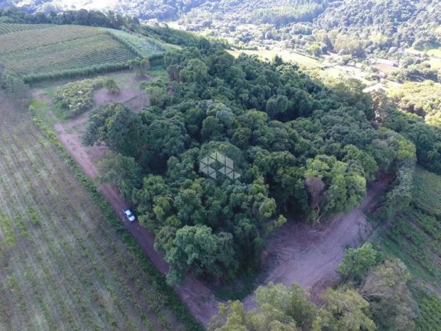 Terreno com 20.000 m² Linha Palmeiro, Pinto Bandeira/RS