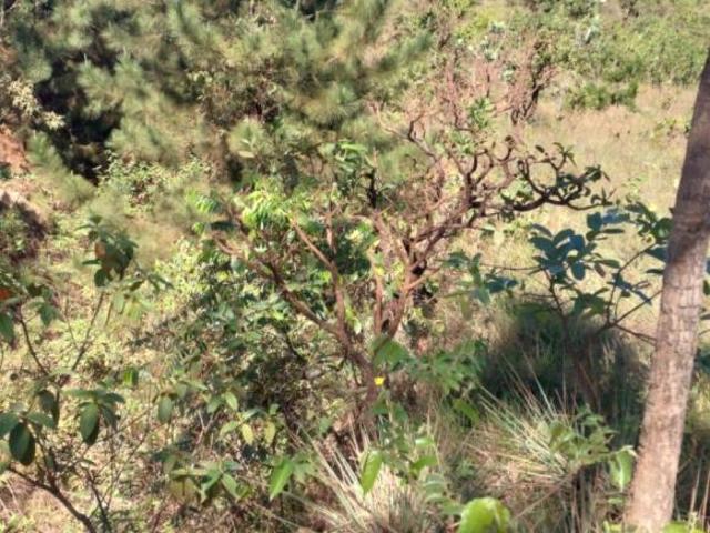 Terreno com 20.000m2 aceito trocas em veículos de até 80 mil