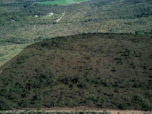 TERRENO COM 20.000M²