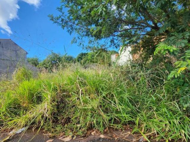 Terreno com 220,20m² Bairro Parque Vila Nobre, São José do Rio Preto/SP