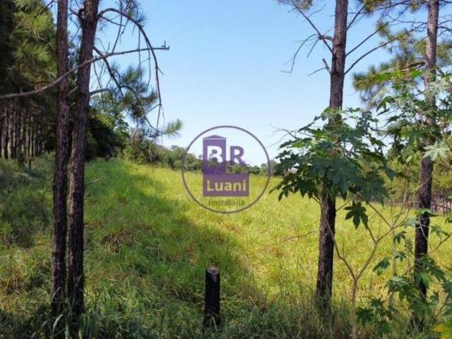 Terreno com 22.000m2 proximo ao centro de Irere