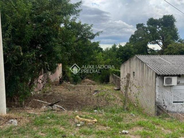 Terreno com 245,53 m2 na Vila Nova