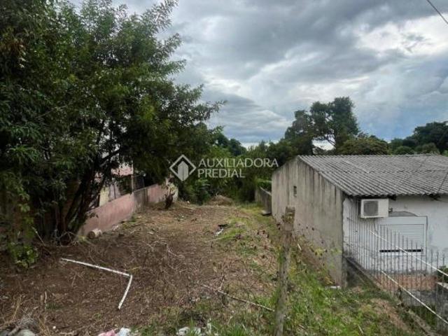 Terreno com 245,53 m2 na Vila Nova