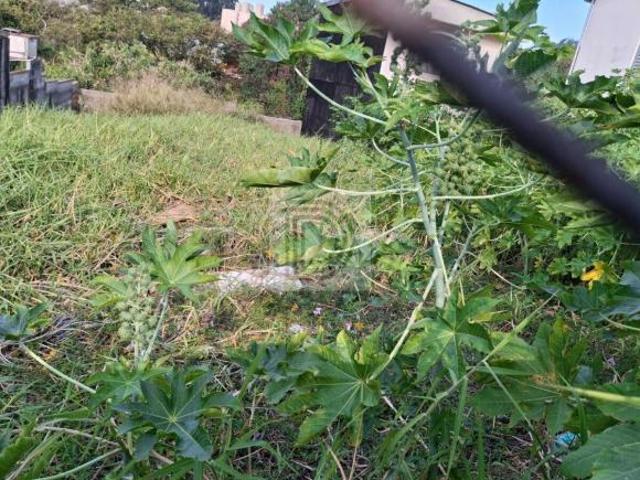 Terreno com 250 M² Rio Pequeno Jd. Esmeralda