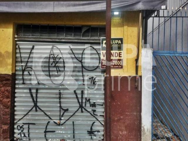 TERRENO COM 250M² À VENDA NA VILA MARIA BAIXA
