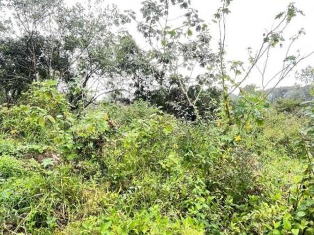 Terreno com 250m² de área total, para Venda, Itanhaém / SP