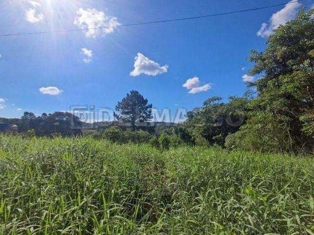 Terreno com 2.000m² e ótima vista!