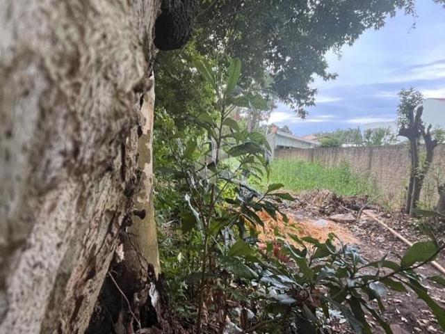 Terreno com 2.167 m² em Ipanema, em Porto Alegre