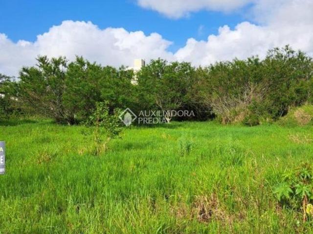 Terreno com 2.800 m² ideal para construção!