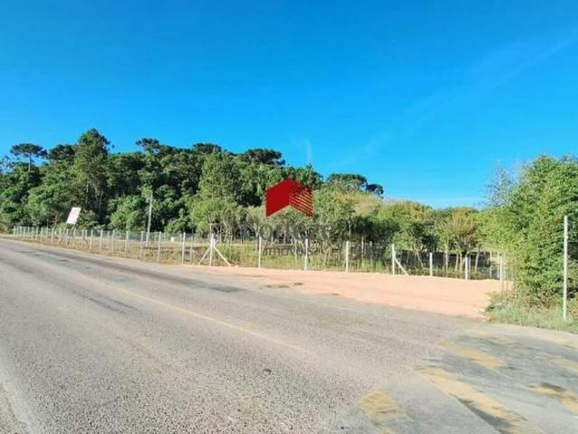 Terreno com 33.717m², à venda, no bairro Cachoeira em São José dos Pinhais
