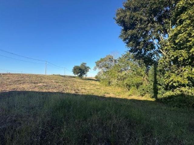 Terreno com 300m² em Linha Santa Cruz!