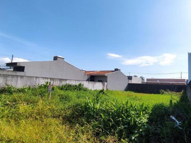 Terreno com 305,50 metros de área total Bairro Rio