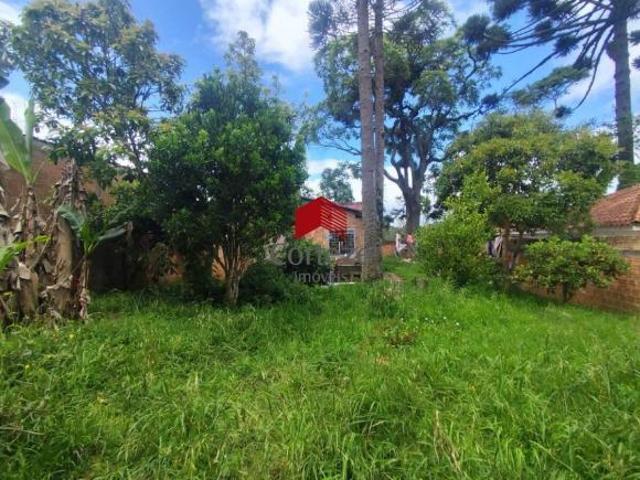 Terreno com 320,35m², à venda, no bairro Roseira de São Sebastião em São José dos Pinhais