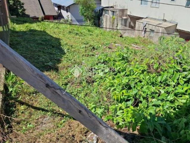 Terreno com 360,00m2 no bairro Santa Catarina, em Caxias do Sul