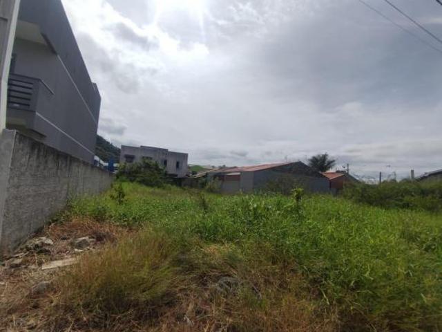 Terreno com 390,00 m² de área total Bairro Bela V