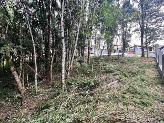 Terreno com 390,00m², no Loteamento Vivendas do Arvoredo em Gramado