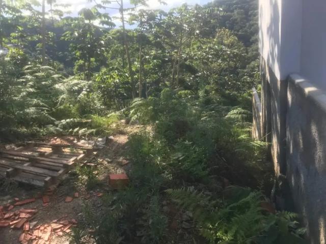 Terreno com 393,27m² no Próspero Cadore