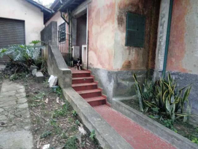 Terreno com 3 casas e salão, otimo para construtor
