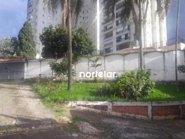 Terreno com 3 casas independentes, piscina, churrasqueira, jardim e garagem para 15 carros Vila P