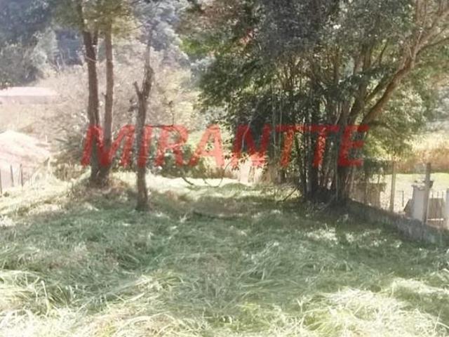 Terreno com 3 quartos