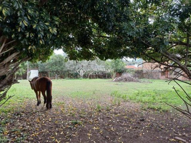 Terreno com 3.146 m² à Venda em Gravataí Nossa Chácara