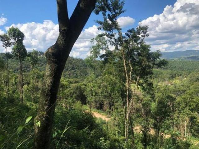 Terreno com 3.200,00 m2 de área disponível para venda!