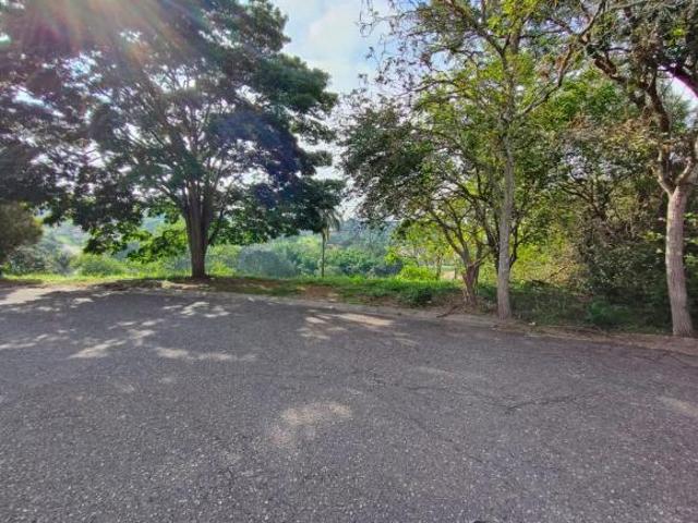Terreno com 3.579 m2 no Loteamento de alto padrão Jardim das Palmeiras