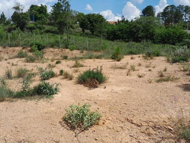 Terreno com vista