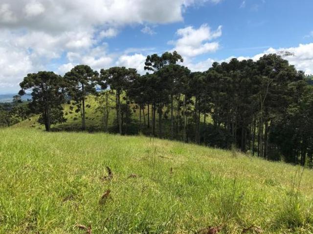 Terreno com vista a 4.5km de Gonçalves MG