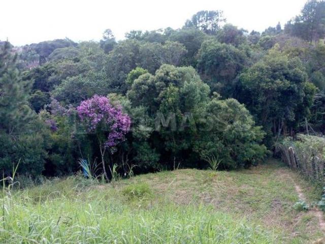 Terreno com vista maravilhosa a 1 km da rodovia Bunjiro Nakao!