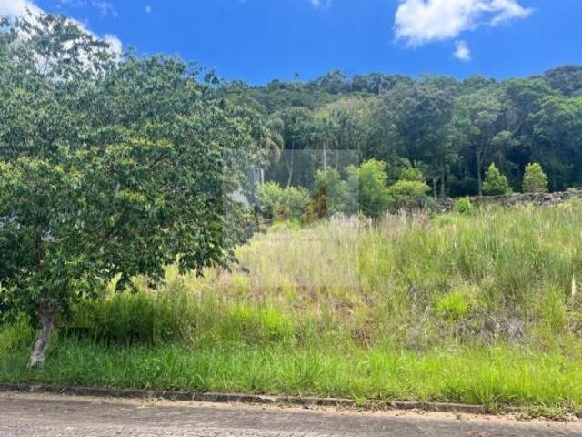 Terreno com Vista Panorâmica em Nova Petrópolis | 504m² no Bairro Pousada da Neve | Oportunidade Exc