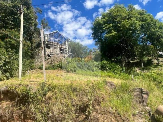 Terreno com Vista Panorâmica em Nova Petrópolis | Pinhal Alto | 452m² Acima do Nível da Rua | Oportu
