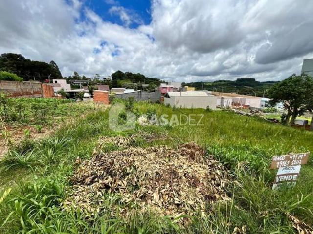 TERRENO COM VISTA PARA O LAGO