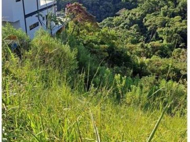 Terreno com vista para o mar escritura definitiva